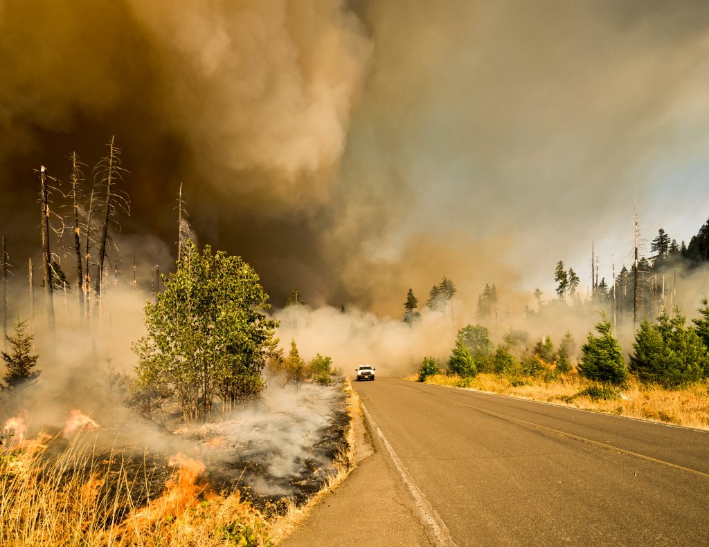 Why Are Wildfires Getting Worse? – Energy Portal of Serbia