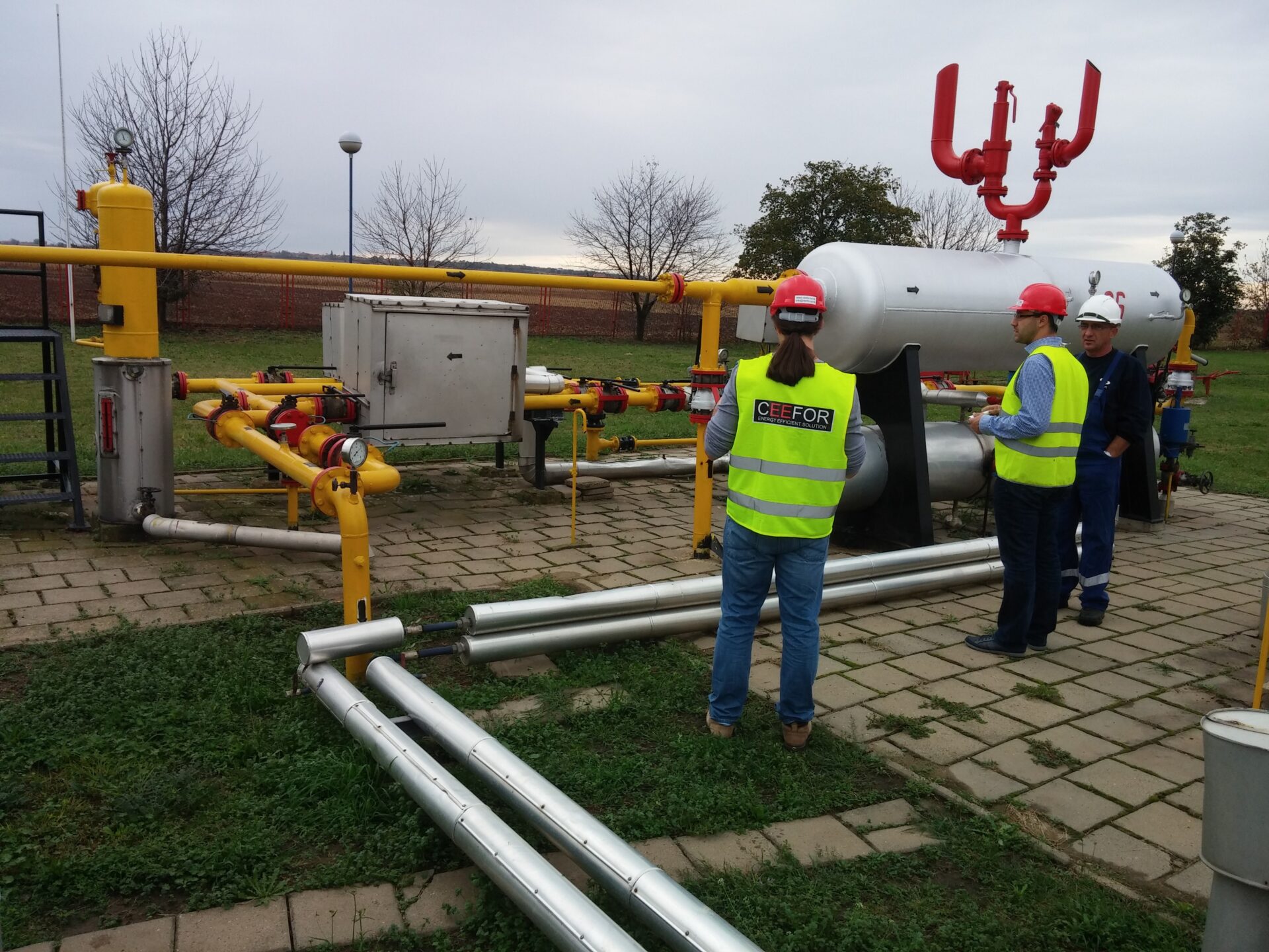 All for One, CEEFOR for All | Energy Portal of Serbia